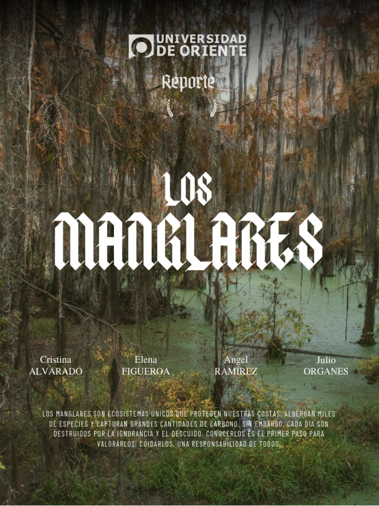 Reporte Manglar - Equipo 2 Arquitectura 6a | PDF | Mangle | Ecología