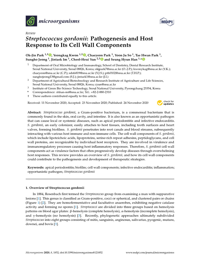 Strep Gordonii: Bacteremia and Pathogenesis | PDF | Biofilm | Interleukin 8