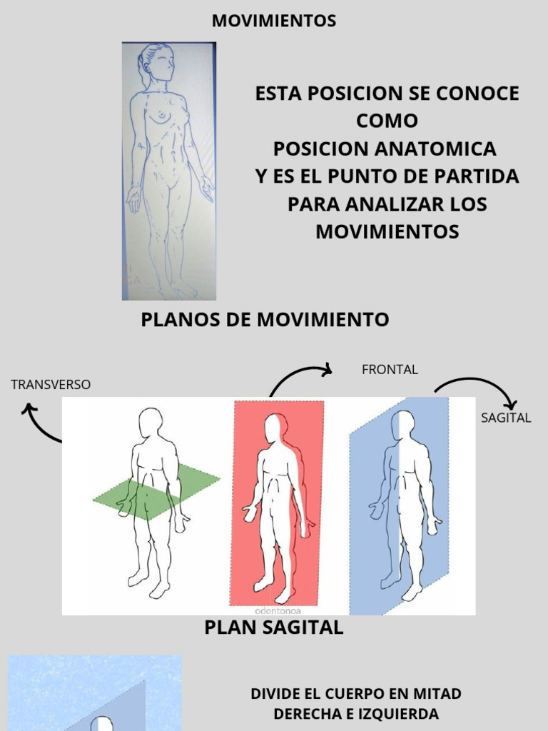 Movimientos | PDF