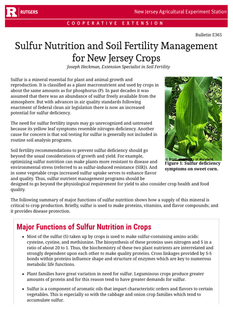E365 Sulfur Nutrition & Soil Fertility Management (Rutgers NJAES) . | PDF | Soil | Fertilizer
