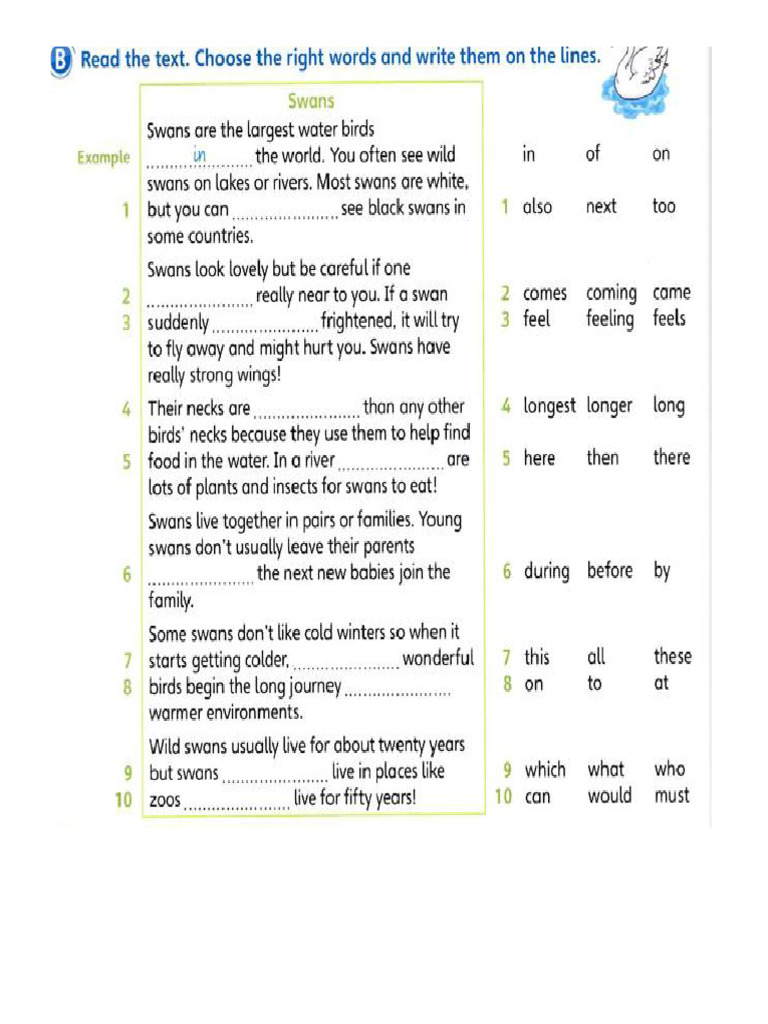 Fun For Flyers - RW | PDF