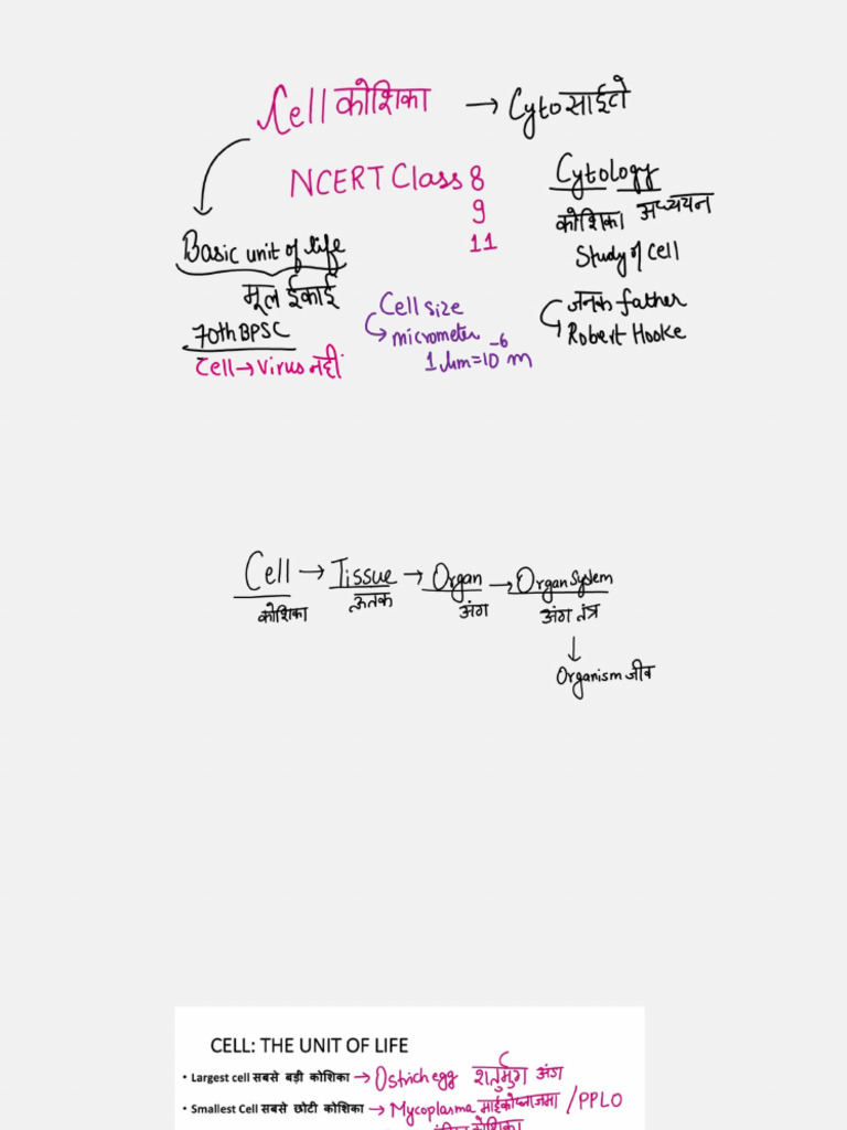 Cell Part 1 - 48667438 - 2025 - 06 - 28 - 07 - 28 | PDF