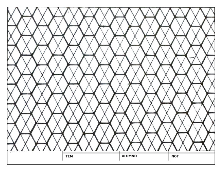 Plantilla DIN-A4-2 | PDF