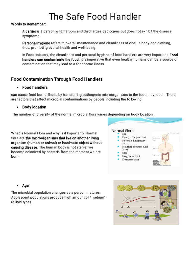 HTC 103 G-4 The Safe Food Handler | PDF