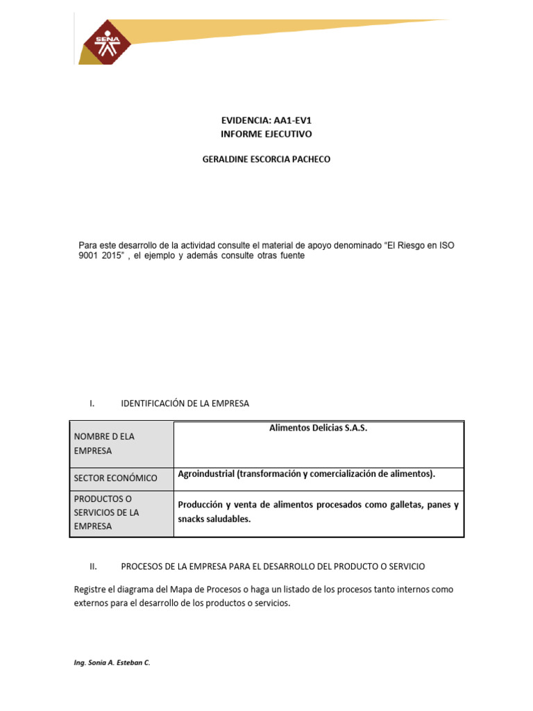 TallerAA1EV1Plan (1) Geraldine Escorcia Pacheco | PDF | Logística | Business