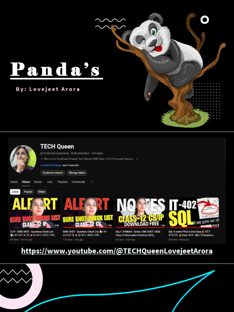 Understanding Pandas DataFrames Basics | PDF