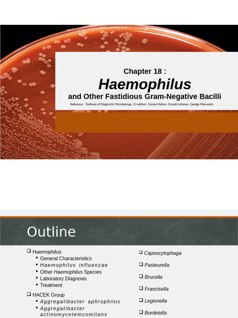 Haemophilus and Other Fastidious Gram-Negative | PDF | Microbiology ...