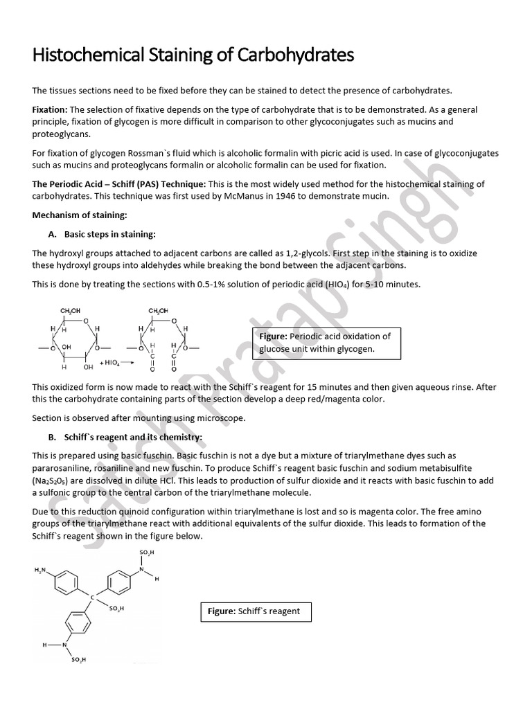 Histochemical Staining of Carbohydrates: Fixation | PDF | Staining | Acid