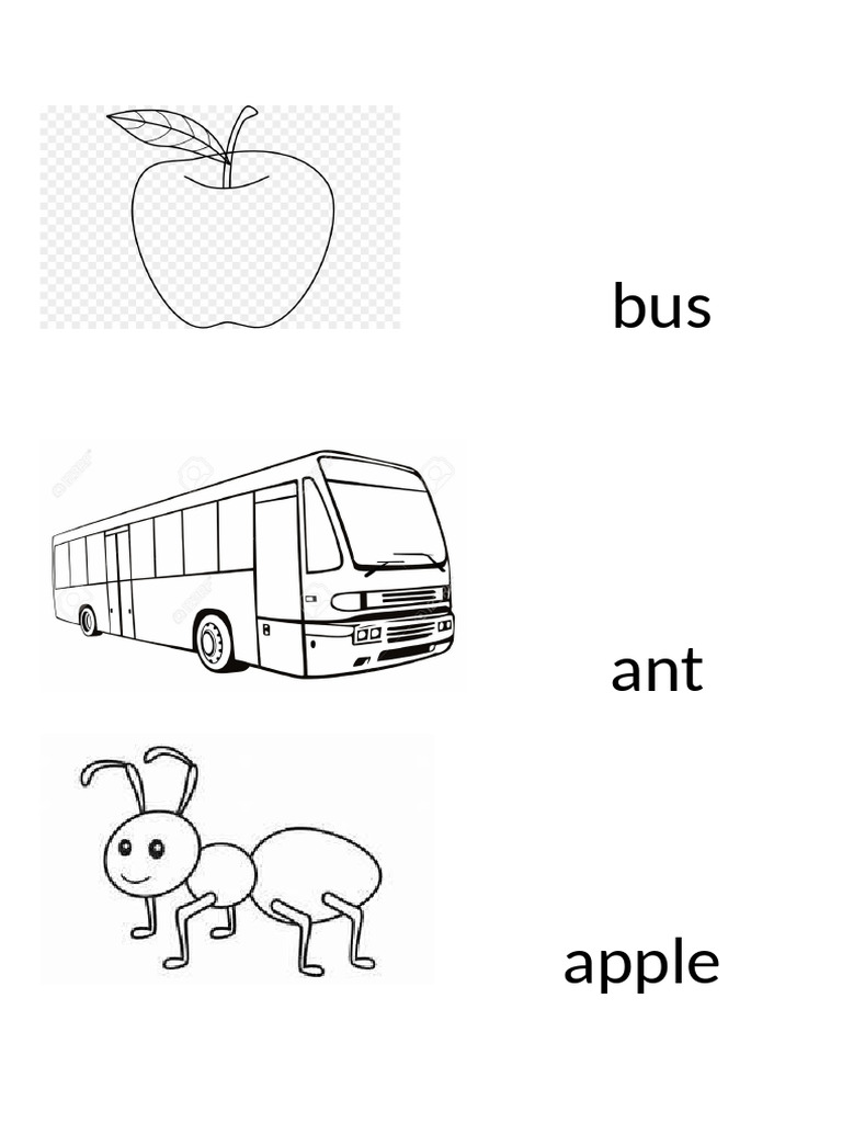 Apple and Bus | PDF