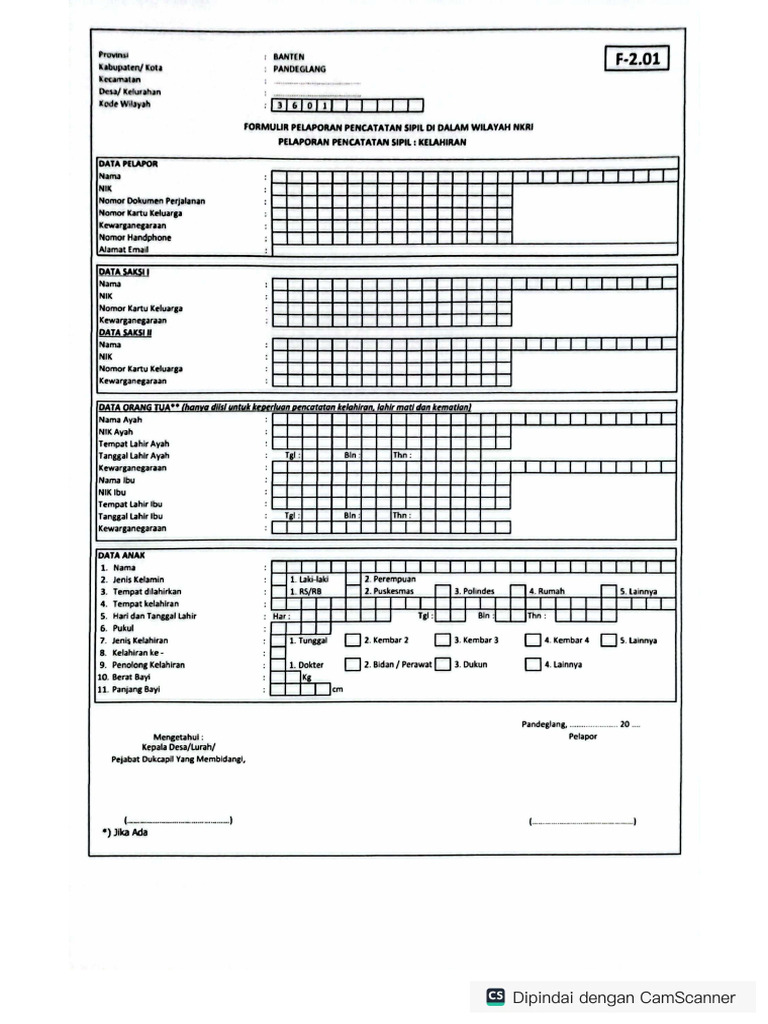 Formulir Pembuatan Akta Kelahiran | PDF
