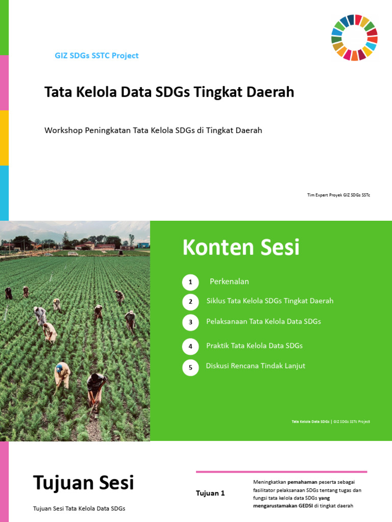 Tata Kelola Data SDGs di Daerah | PDF