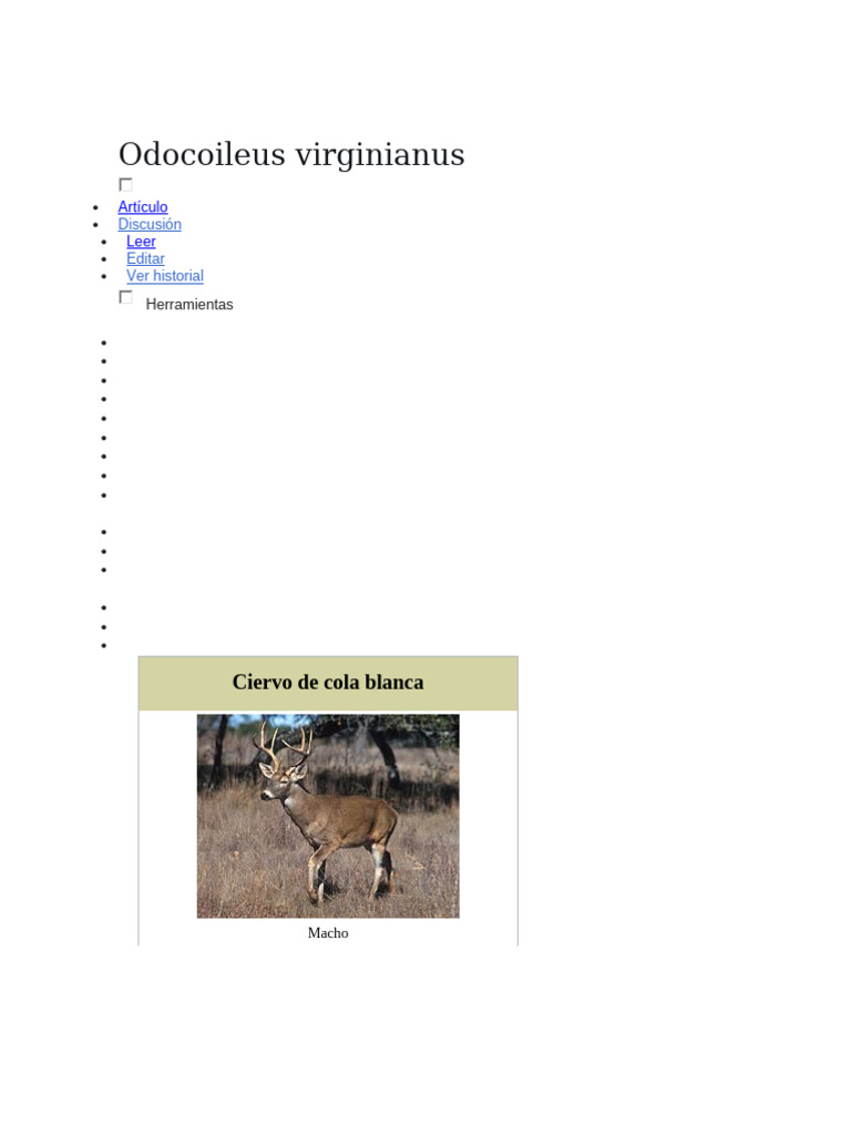 Venado Blanco | PDF | Venado de cola blanca | Zoología