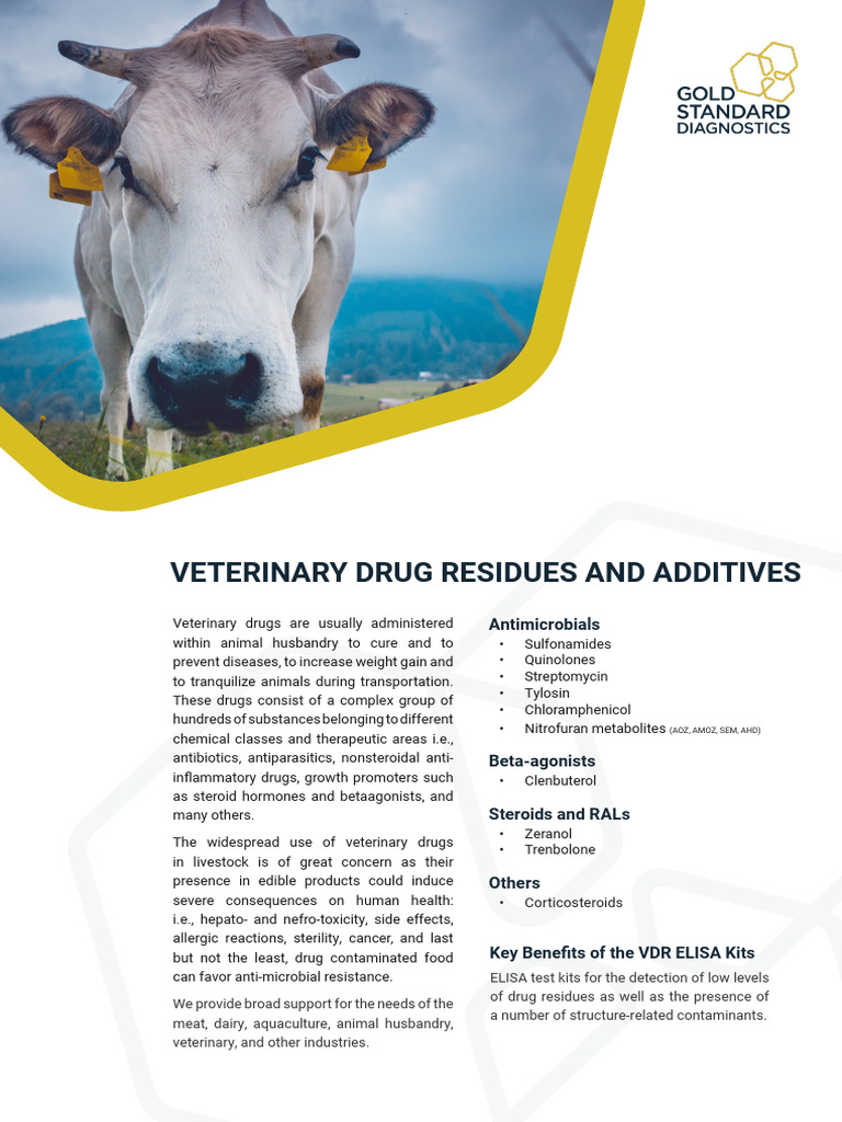 GSD_VDR_flyer_07212023 | PDF