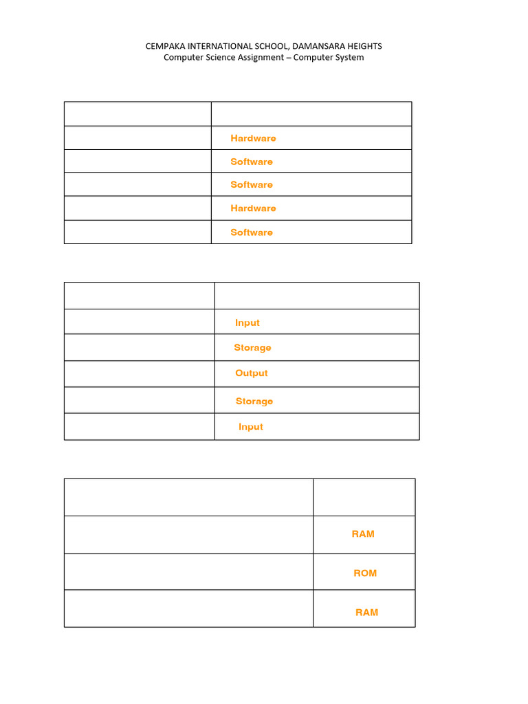 Computer System Assignment Guide | PDF