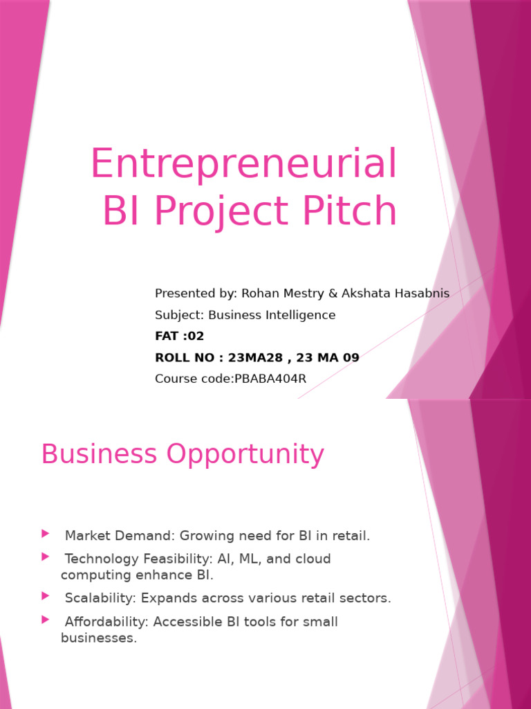 Entrepreneurial BI Project Pitch | PDF