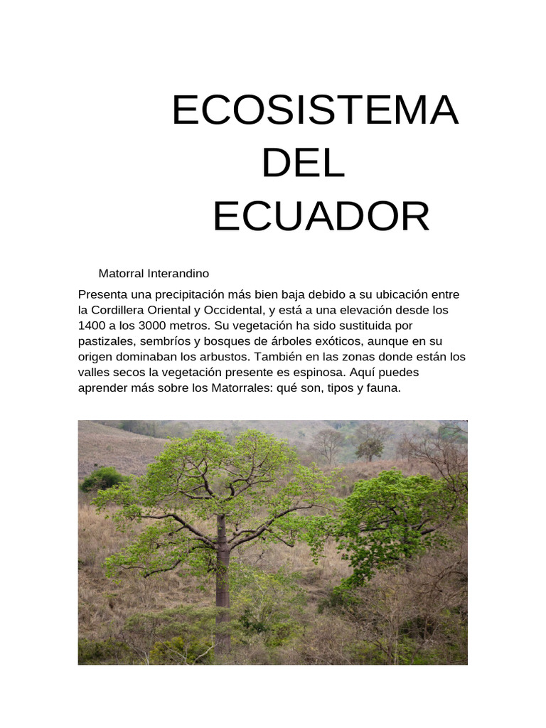 Ecosistema Del Ecuador | PDF