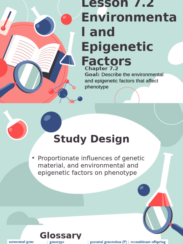 Environmental and Epigenetic Influences on Phenotype | PDF | Histone ...