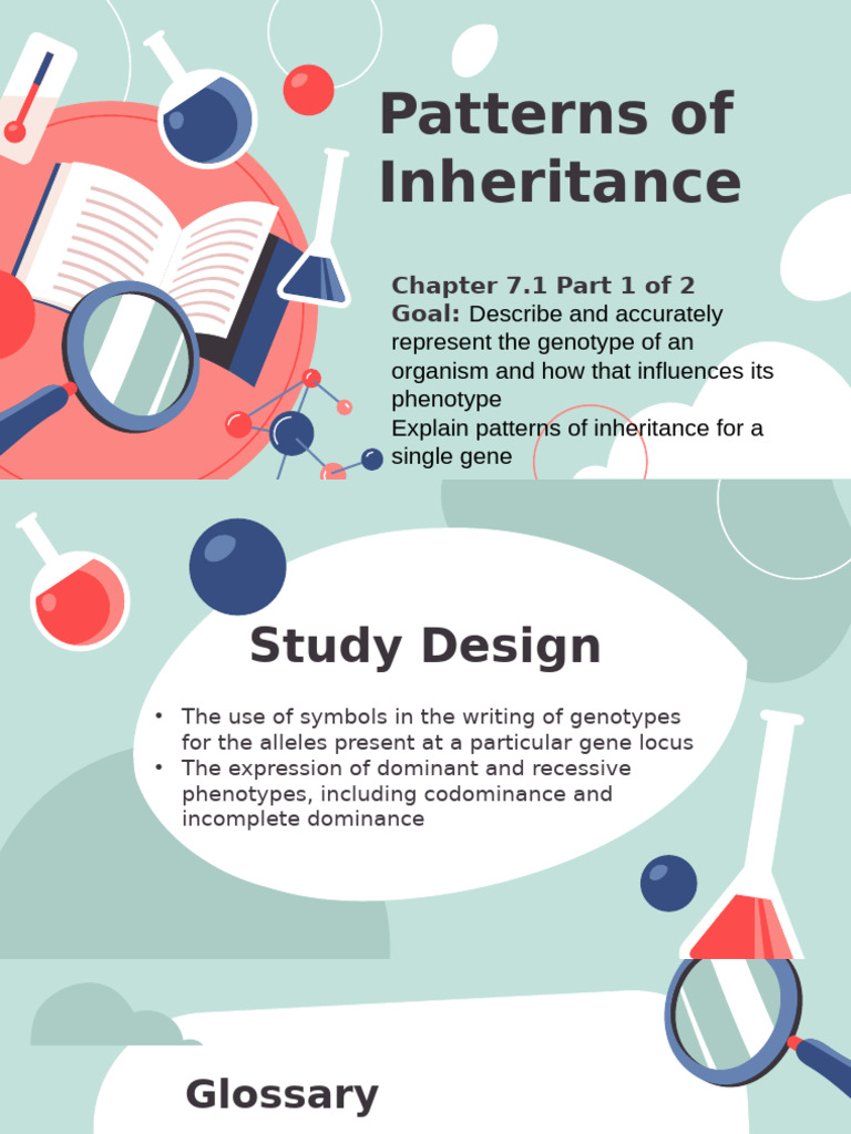 7.1 Patterns of Inheritance Part 1 | PDF | Dominance (Genetics) | Genotype