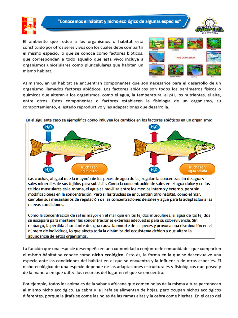 Lectura - Los Seres Vivos Interaccionan en Un Ecosistema y Se Organizan ...
