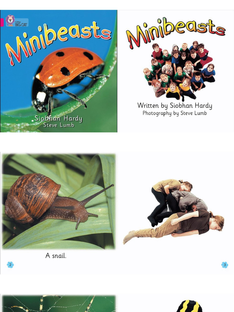 Mini Beasts | PDF