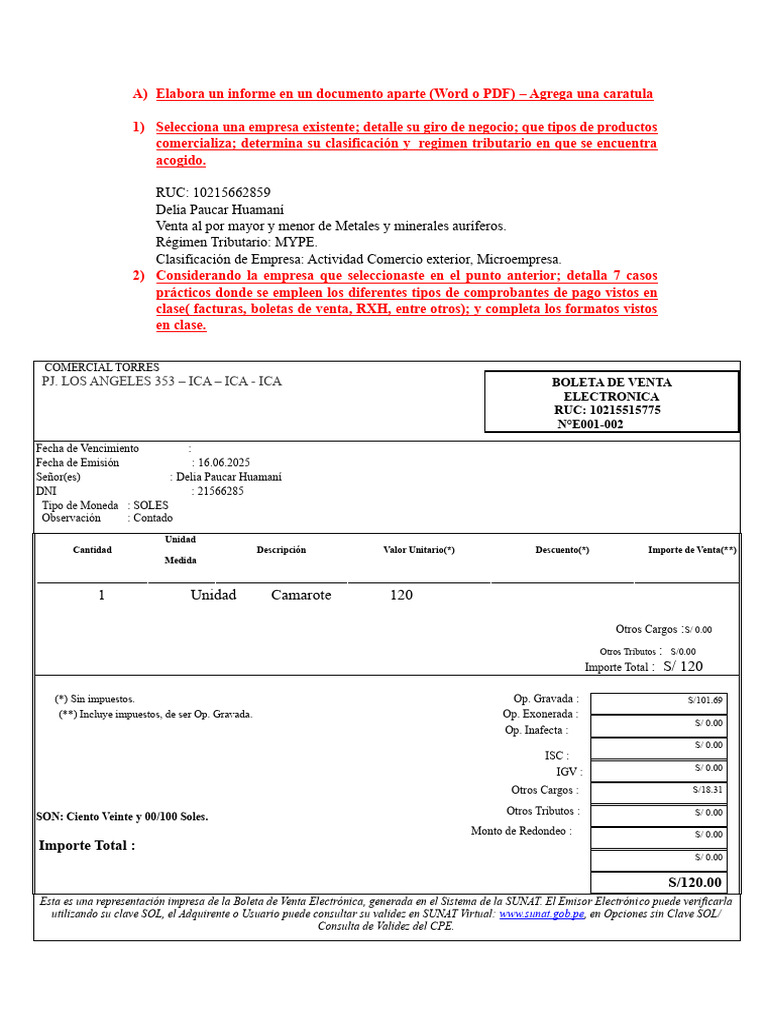Ejemplo de Boleta Electrónica | PDF | Economias