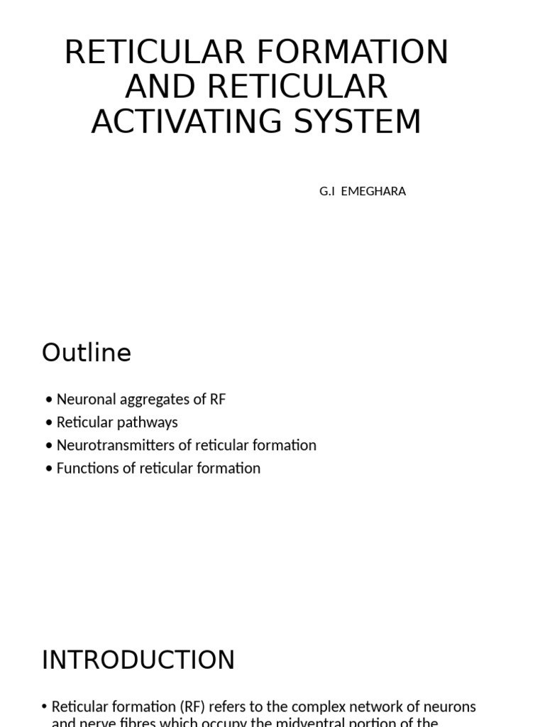 Reticular Formation and Reticular Activating System | PDF | Sleep ...