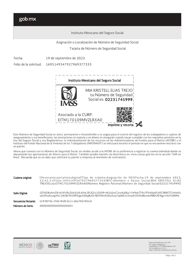 Tarjeta Nss Mia | PDF