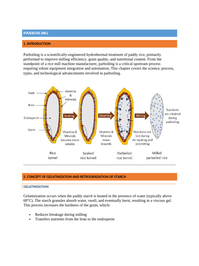 Parboiling Process of Paddy Rice | PDF