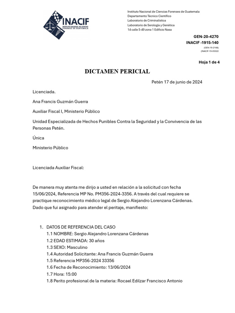 Dictamen Pericial | PDF
