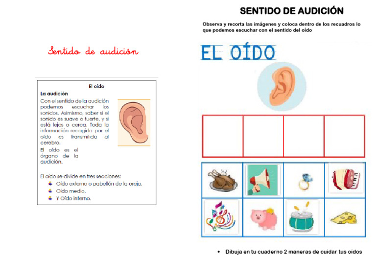 Ficha Lun 21 Abr CYT Sentido de Audición | PDF