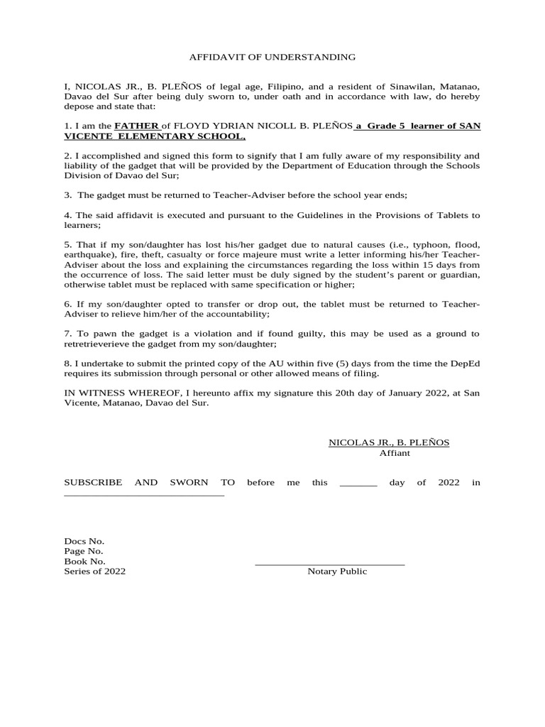 Affidavit of Understanding | PDF | Affidavit | Notary Public