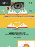 Class10 Human Eye Notes | PDF | Eye | Human Eye