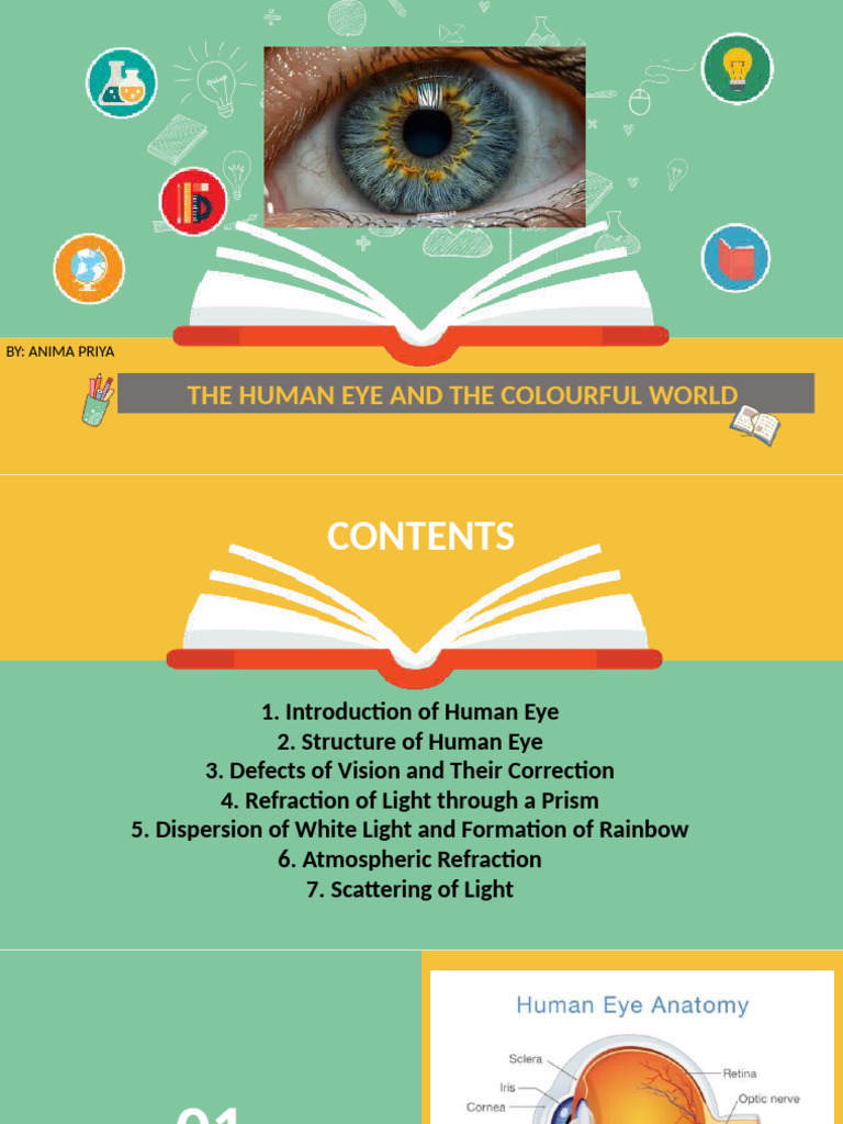 Human Eye - PPT Class 10 | PDF | Sunset | Refraction