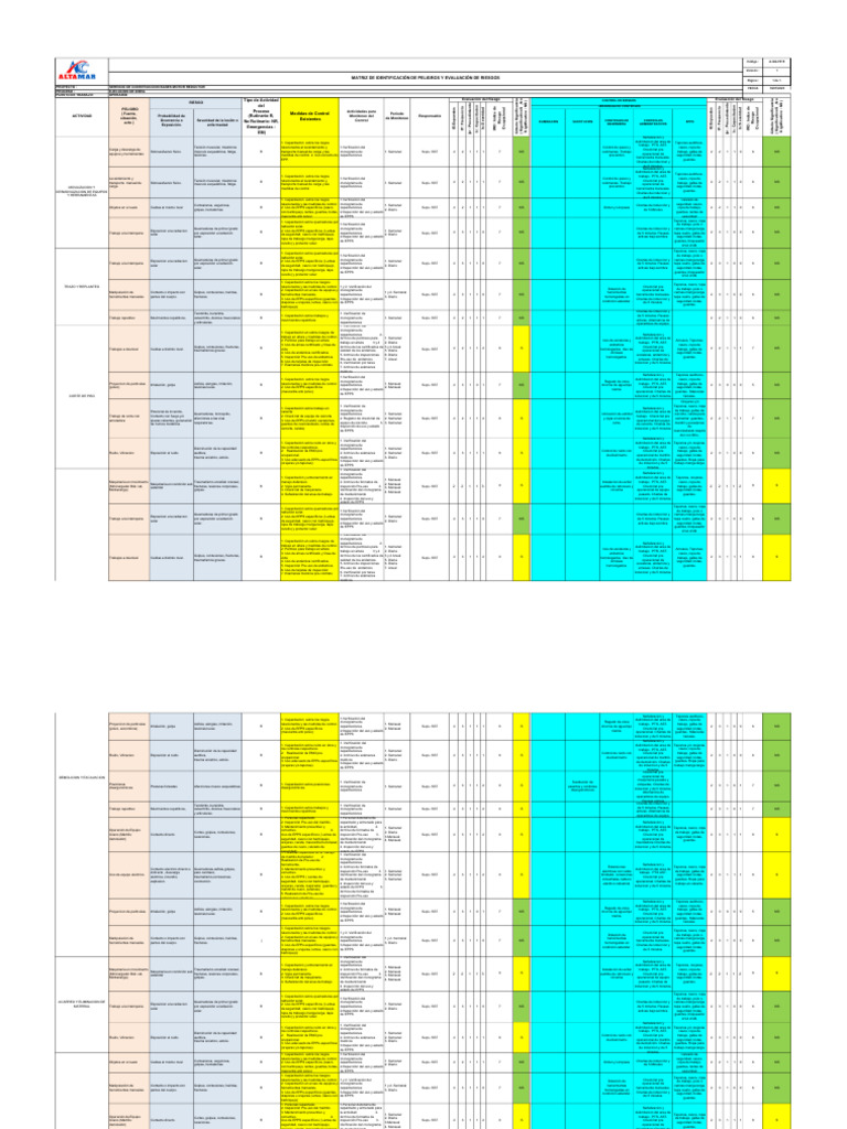 Matriz Iper - Bases Motor Reductor - Operario | PDF | Lesión | Especialidades Medicas