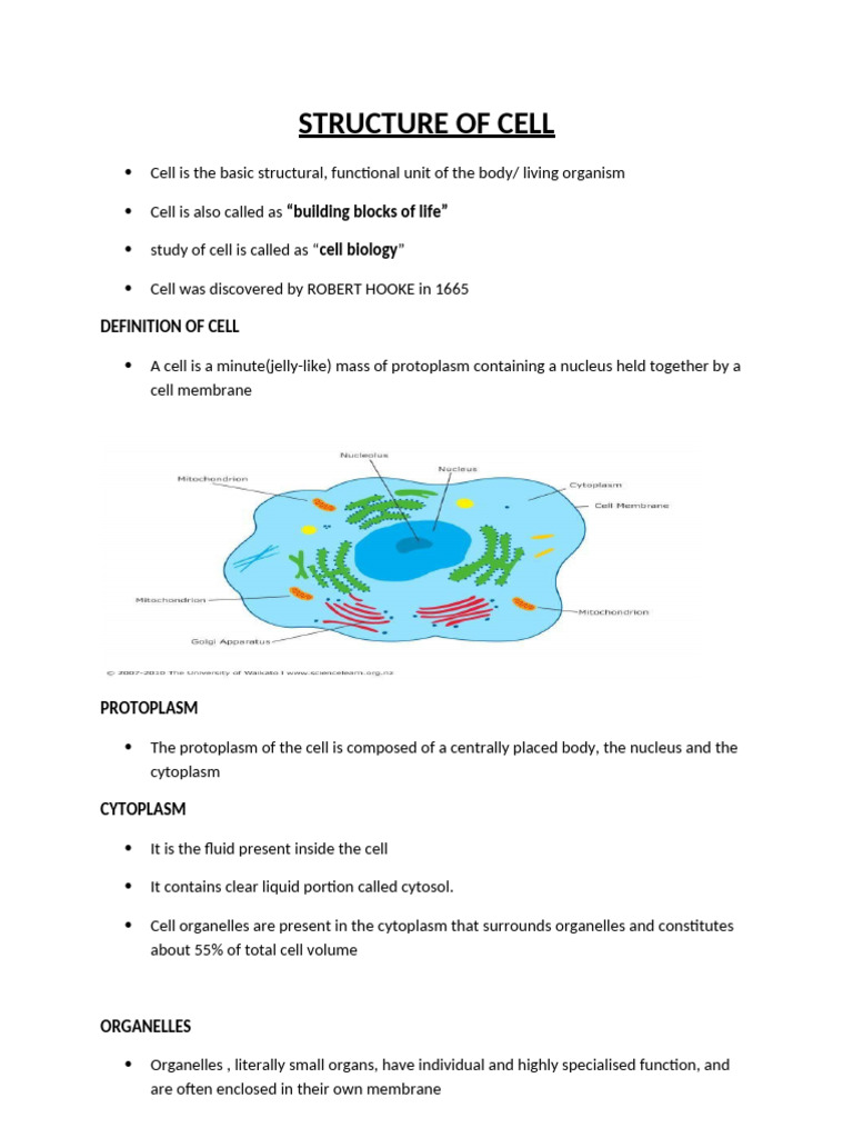 Understanding Cell Structure and Functions | PDF | Cytoplasm | Cell ...