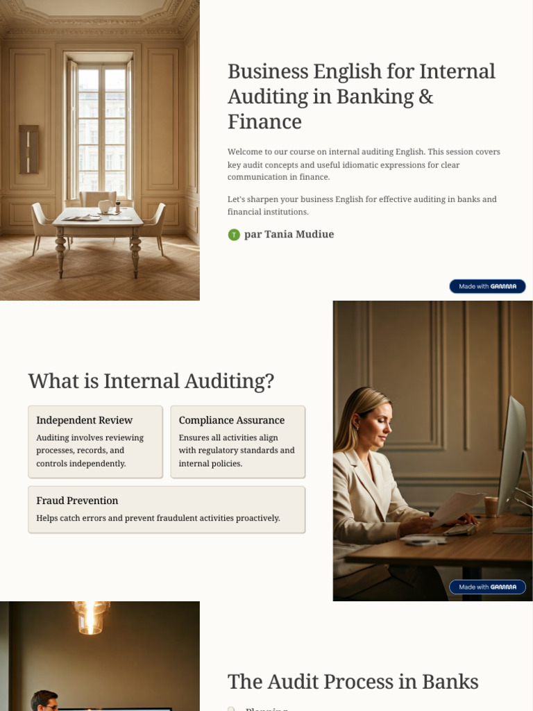 Business English For Internal Auditing in Banking and Finance | PDF