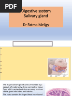 Serous vs Mucous Salivary Glands Comparison | PDF
