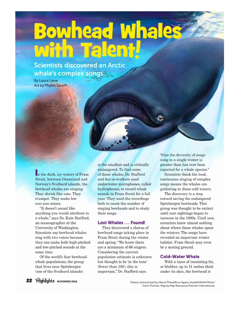 Bowhead Whales | PDF