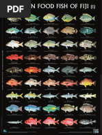 Maltese Fish Names and Translations | PDF