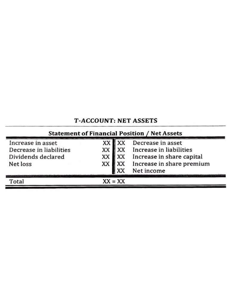 Net Assets For T Account | PDF