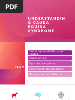 National Pathway for Cauda Equina Syndrome | PDF | Magnetic Resonance ...