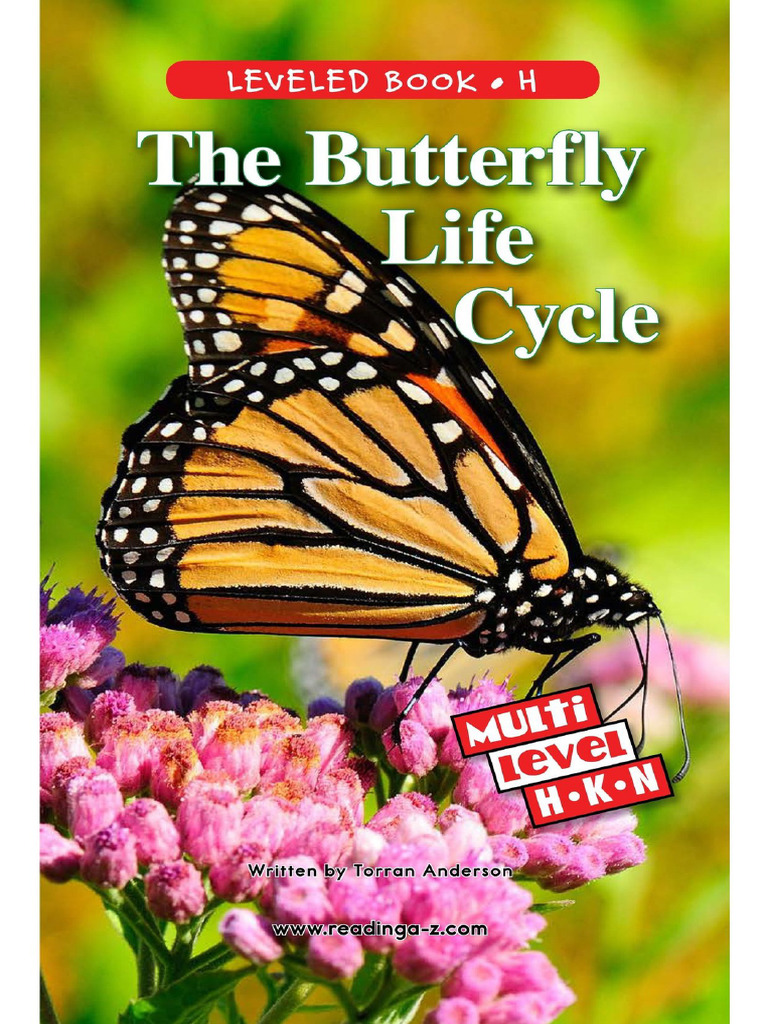 The Butterfly Life Cycle | PDF