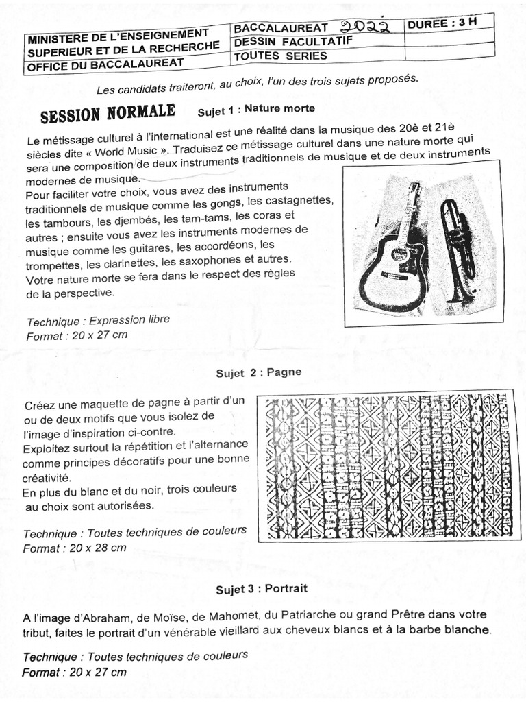 Bac II 2022 Toute Series Dessin | PDF