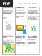 Meiosis Overview by Amoeba Sisters | PDF | Meiosis | Mitosis