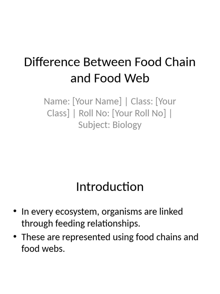Food Chain vs. Food Web Explained | PDF
