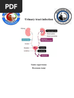 Urinary Tract Infection Presentation | PDF