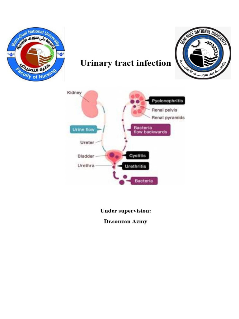 Understanding Urinary Tract Infections | PDF | Urinary Tract Infection ...