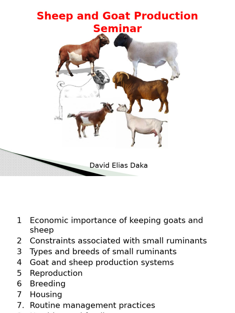 Dehorning Older Goats With Bands Pdf Sheep Goat