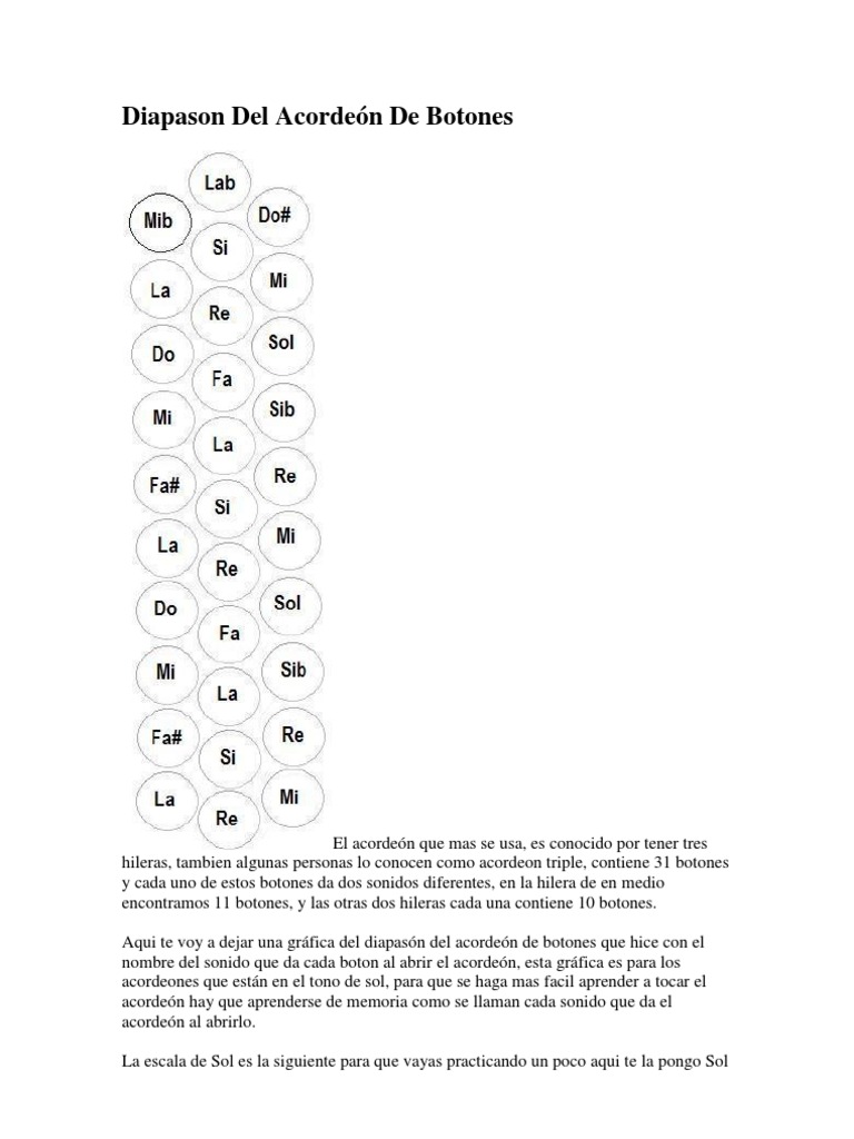 Diapason Del Acordeón de Botones | Acordeón | Escala (música)