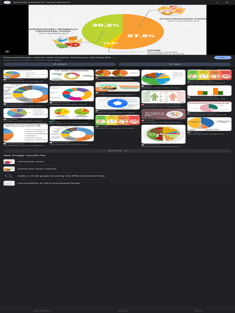 Should Ultra Processed Foods Be. Banned in School Pie Charts - Google ...